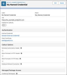 Understanding Named Credentials in Salesforce : A Comprehensive Guide ...